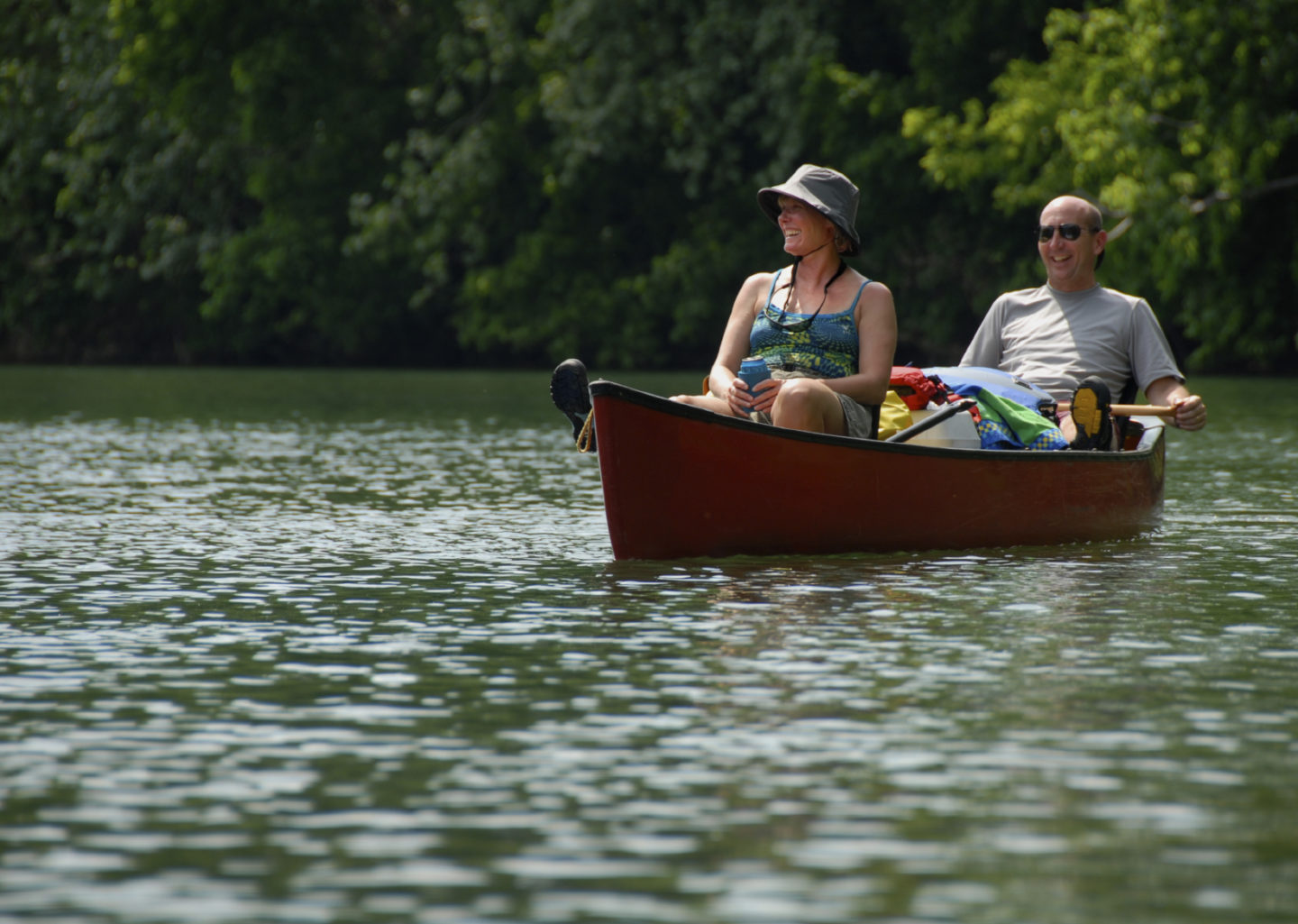 iStock_000006345449Medium - Matthew Ferry